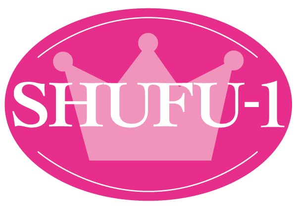 あなたの“技”を披露しよう 第1回SHUFU-1グランプリ開催 | リビング大阪Web