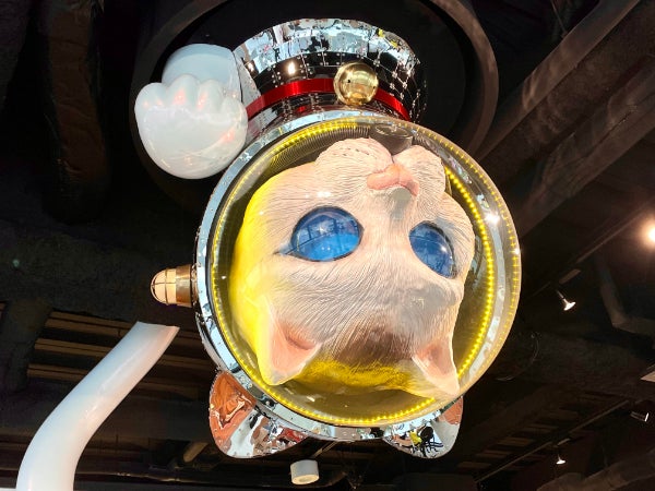 【中区中町】天井からSHIP'S CATがお出迎え！「WEBASE CAFE」(ウィーベースカフェ) | リビング広島Web