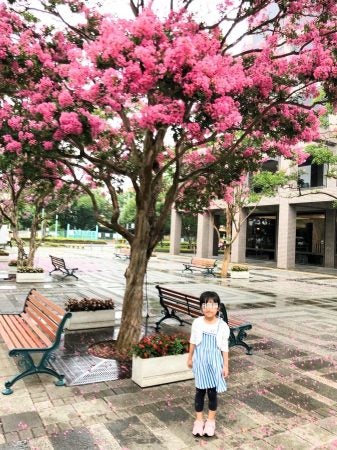 あの人気ドラマのロケ地に行って来た！浦和PARCO「Wired kitchen」 | リビング埼玉Web