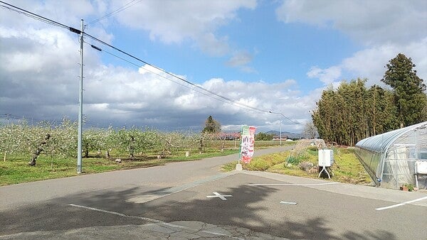 【須賀川市】連日完売！完熟イチゴの手巻きロールケーキ【ANDROLL】 | リビングふくしまWeb