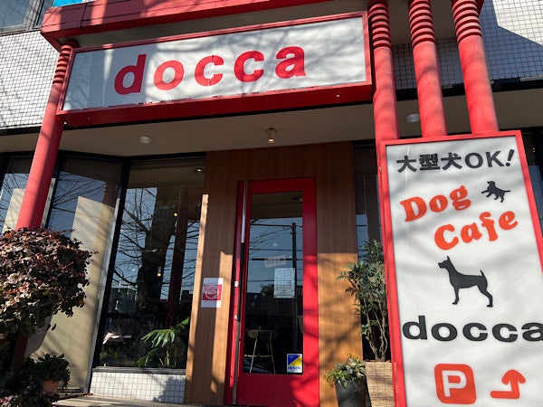 【所沢】チーズがとろーりオムライス♪17年続くドッグカフェ『docca（ドッカ）』 | リビング埼玉Web