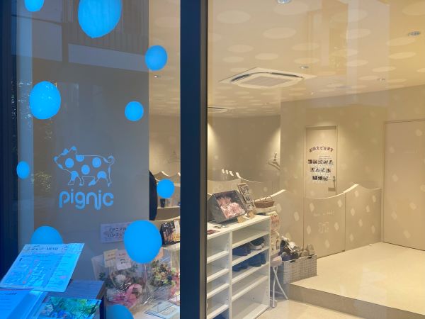 【吉祥寺】マイクロブタがお膝に乗ってくるカフェ【pignic cafe（ピグニックカフェ）吉祥寺】 | リビングむさしのWeb