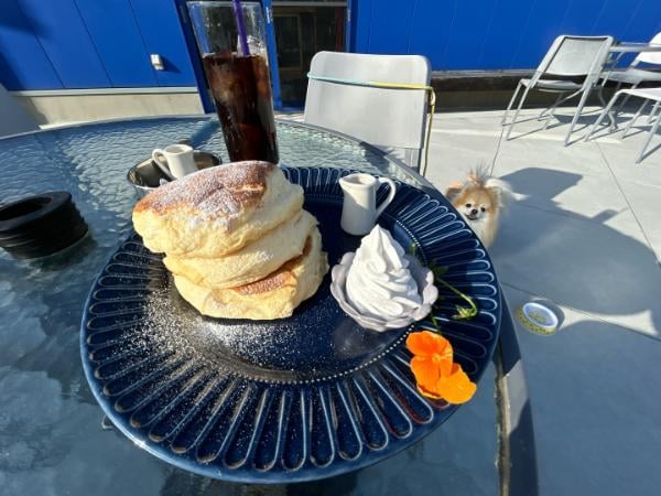 宮城県産米粉を使ったふわぽてパンケーキが人気「cafe arva（カフェアルヴァ）」【登米市】 | リビング仙台Web