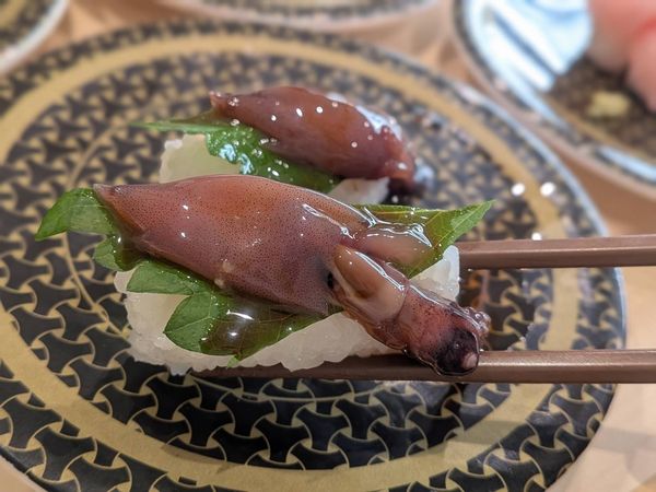 鮭、ホタルイカ…全国の旨さが勢ぞろい！はま寿司限定フェア「日本旨ねた味めぐり」レポ | リビング東京Web